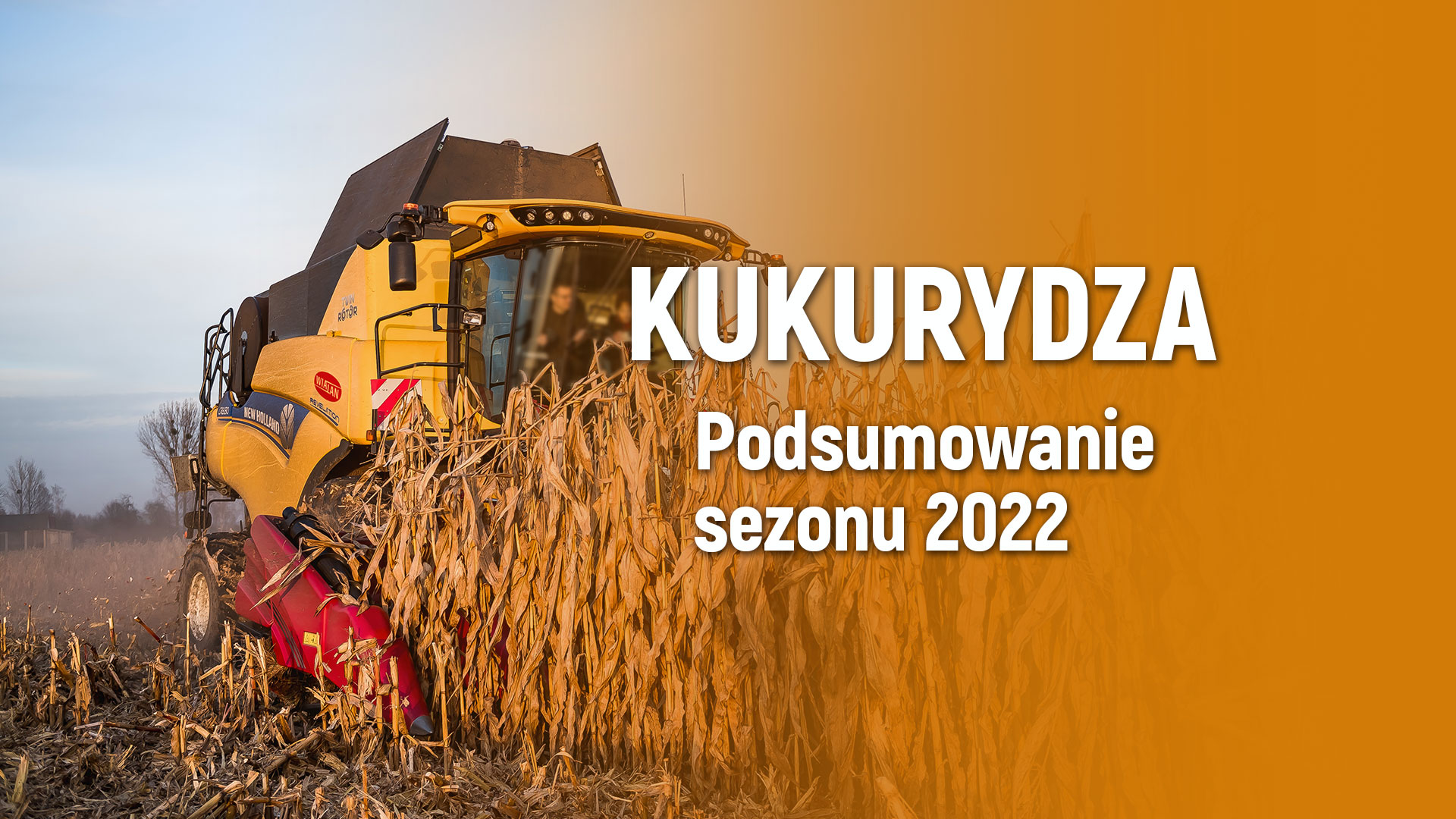 KUKURYDZA. Podsumowanie sezonu 2022 - WIALAN